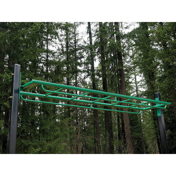 ExerTRAC Overhead Ladder- FE-1372 (Overhead Ladder with Rails ...