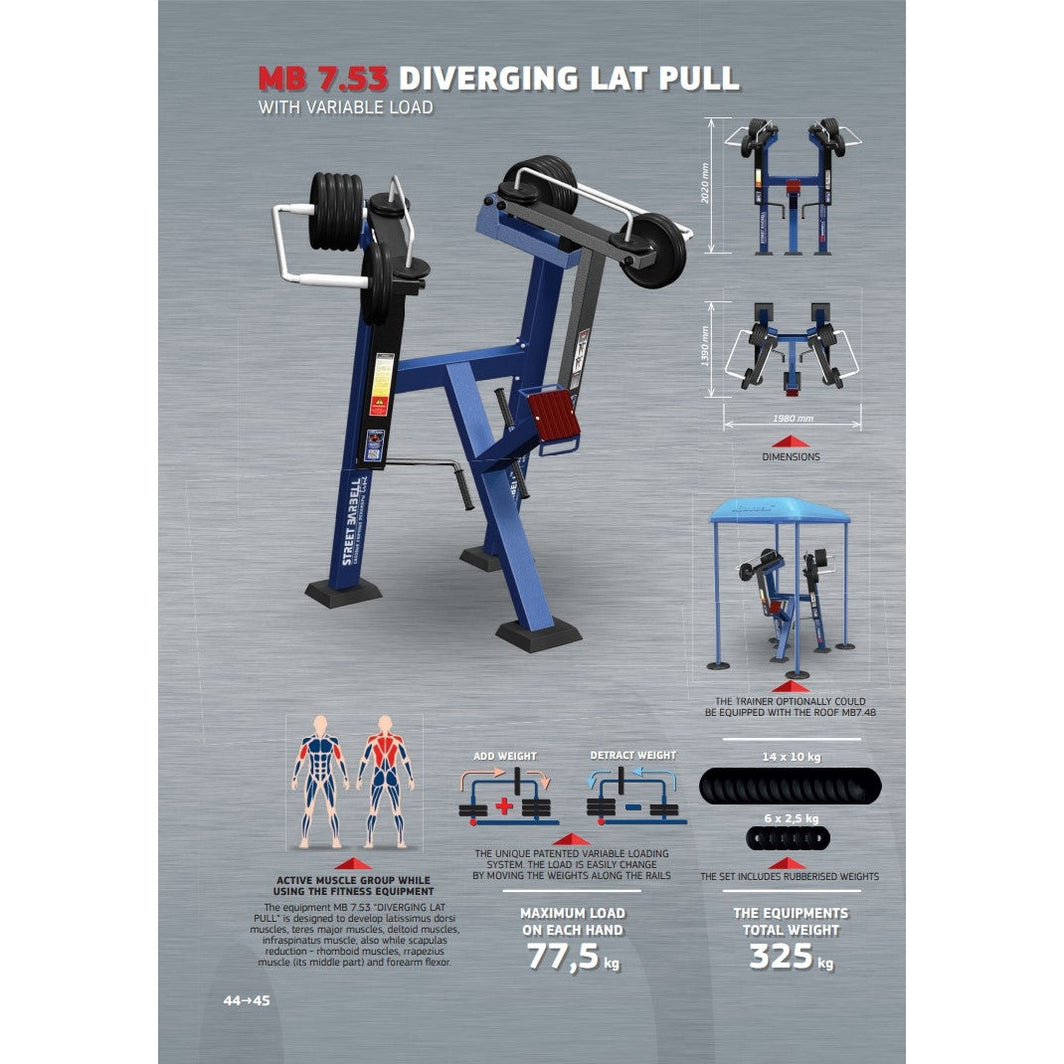 Street Barbell USA Divergent Standing Row (Outdoor Gym Equipment ...